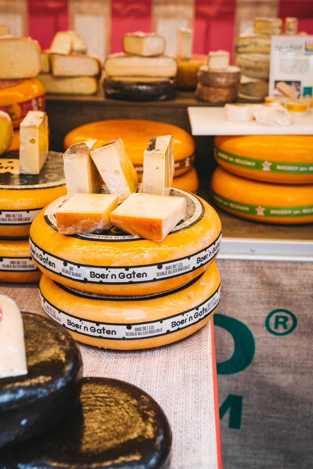 Autumn trip to The Netherlands